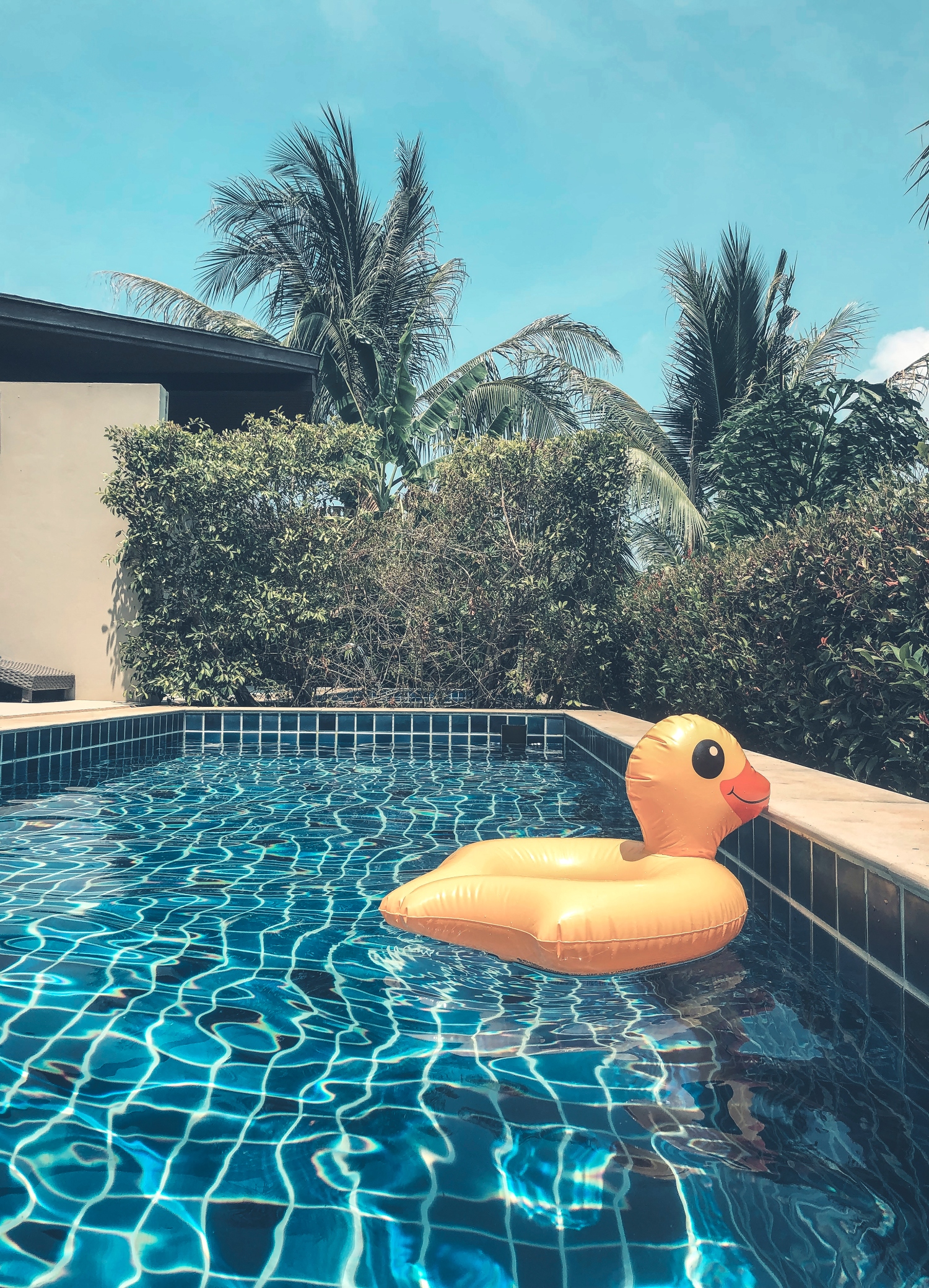 Dipping pool vs plunge pool: Key differences and considerations for ...